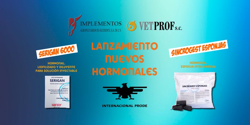 I.A.O.S.A | INTERNACIONAL PRODE Serigan y Sincro-gest Esponjas